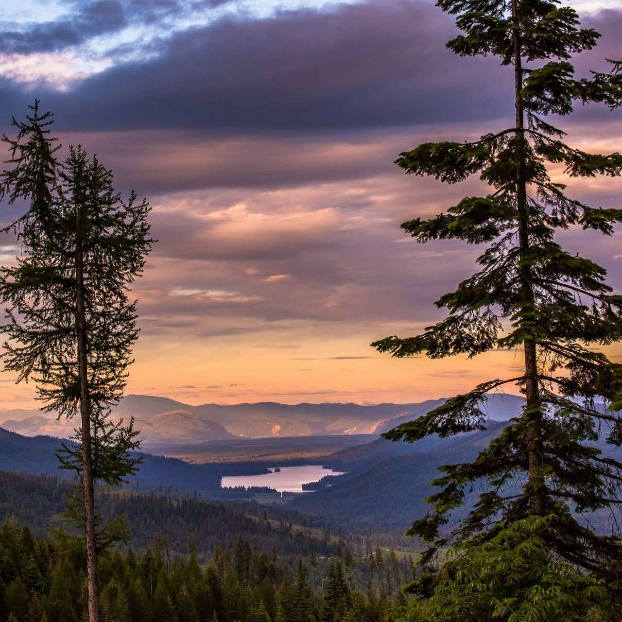 Mt. Spokane (Summer) - Ski NW Rockies